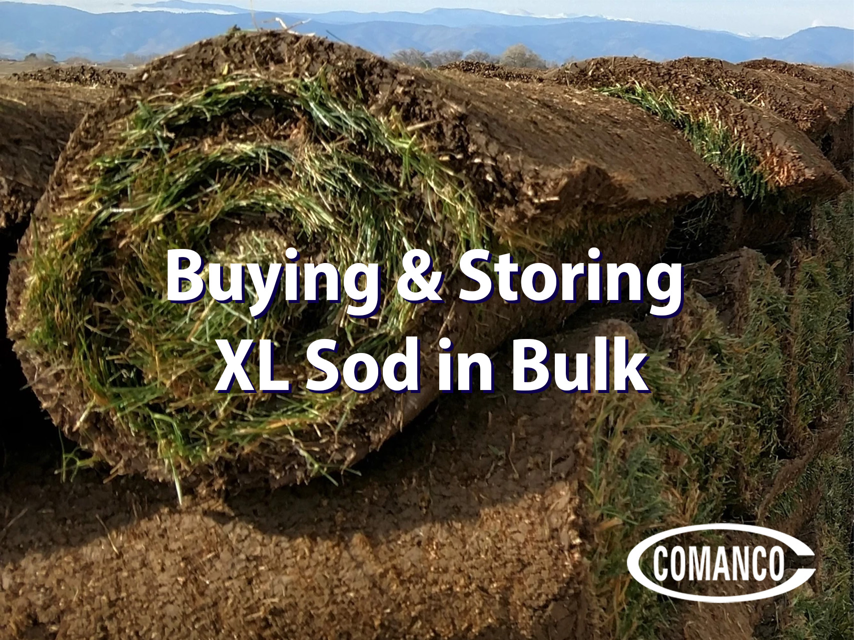 Buying and Storing XL Sod in Bulk? Protect It with the Right Tubes ...